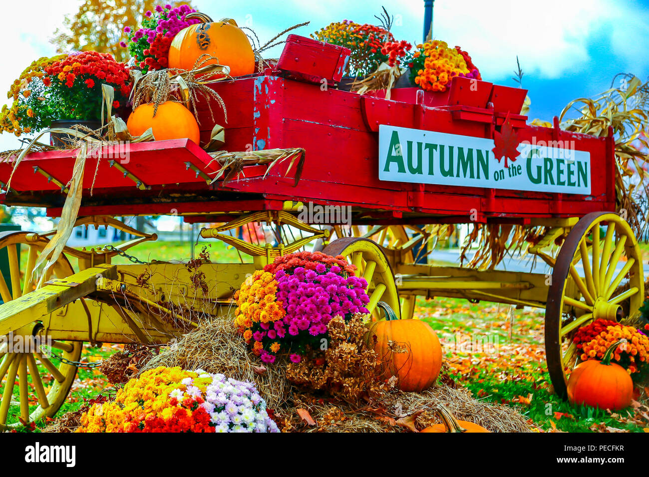 Wagon mums hi-res stock photography and images - Alamy