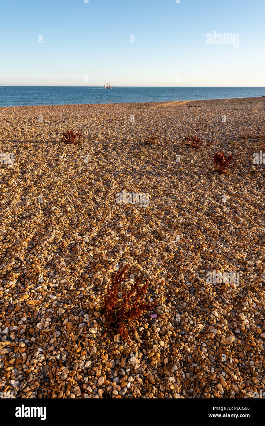 South Lancing is a shingle beach between Shoreham-by-Sea and Worthing ...