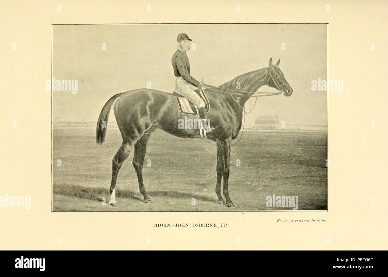 Ashgill High Resolution Stock Photography and Images - Alamy