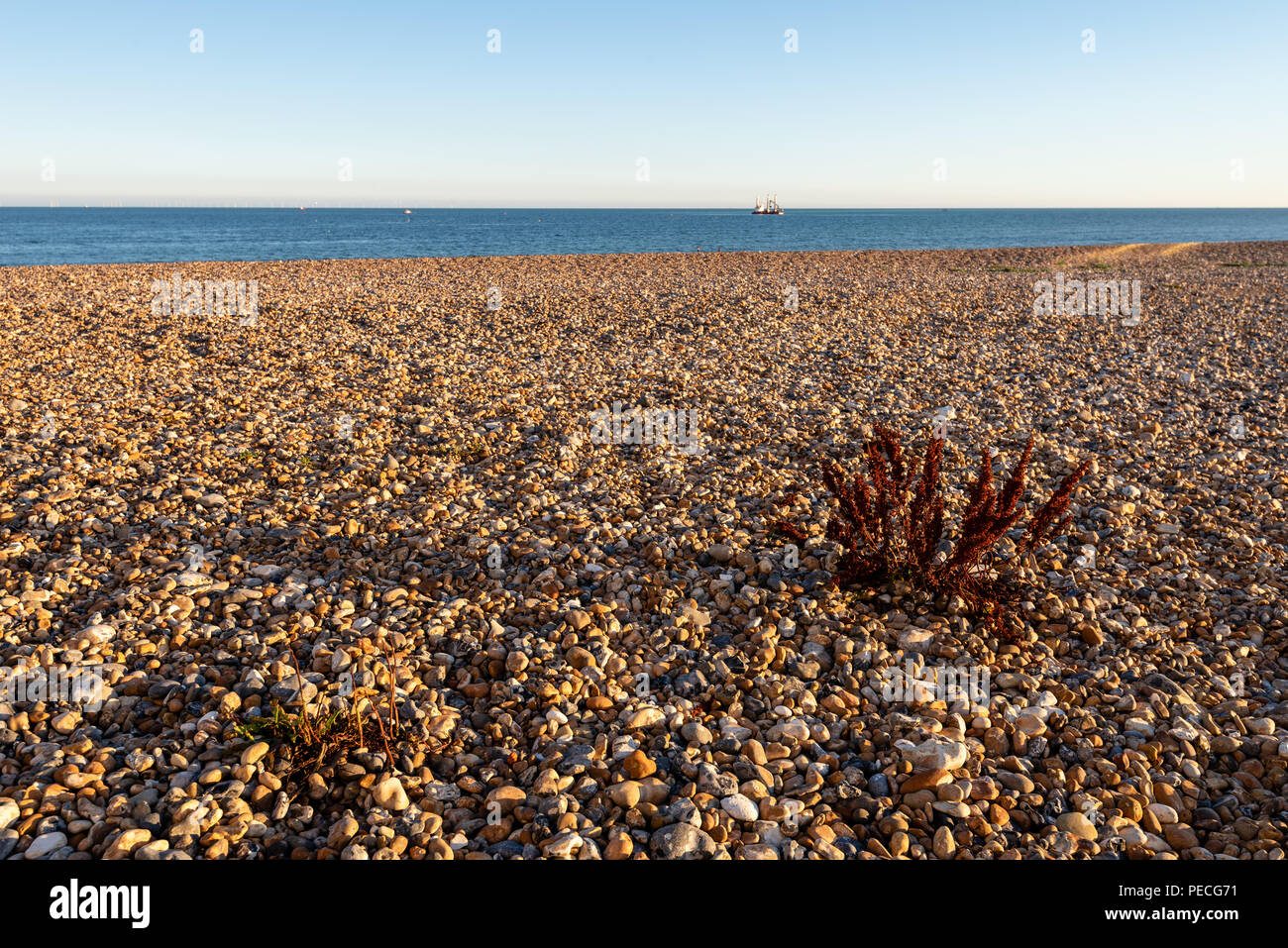 Lancing Beach Sussex High Resolution Stock Photography and Images - Alamy