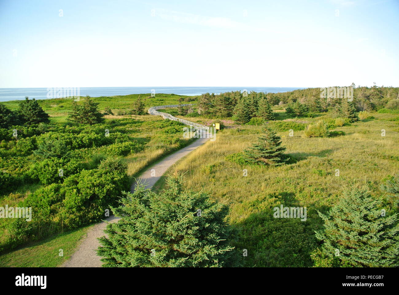 An aerial view of a wooden boardwalk, Greenwich Dunes Trail, in Greenwich National Park, Prince ...