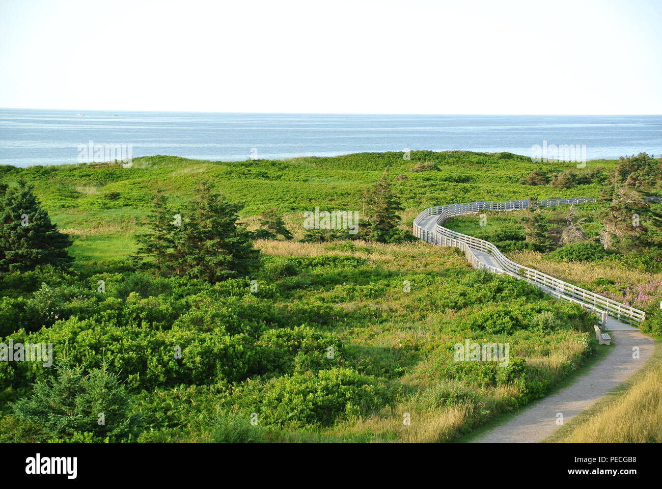 An aerial view of a wooden boardwalk, Greenwich Dunes Trail, in Greenwich National Park, Prince ...