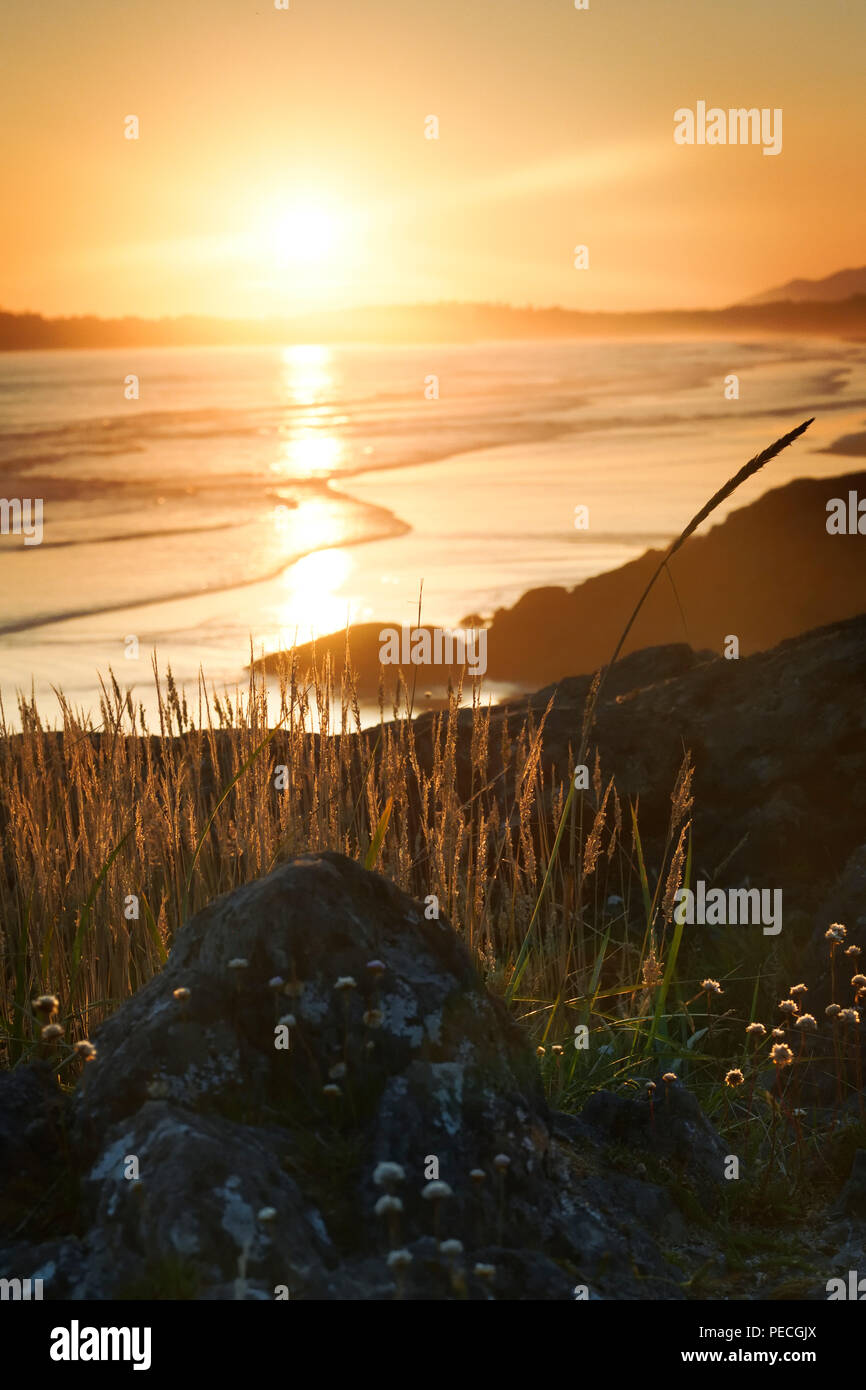 Tofino High Resolution Stock Photography and Images - Alamy