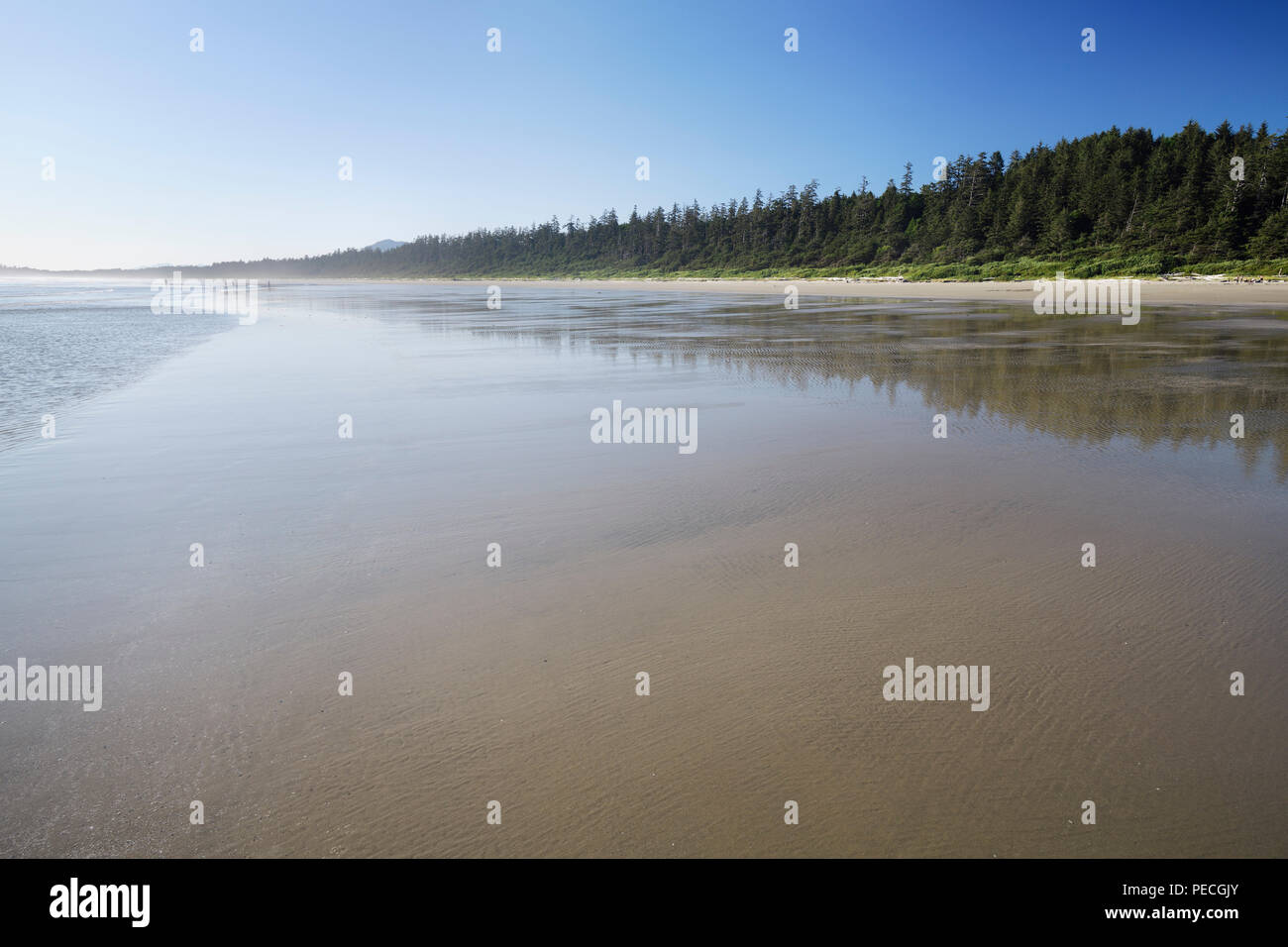 Vancouver island must see beaches hi-res stock photography and images ...