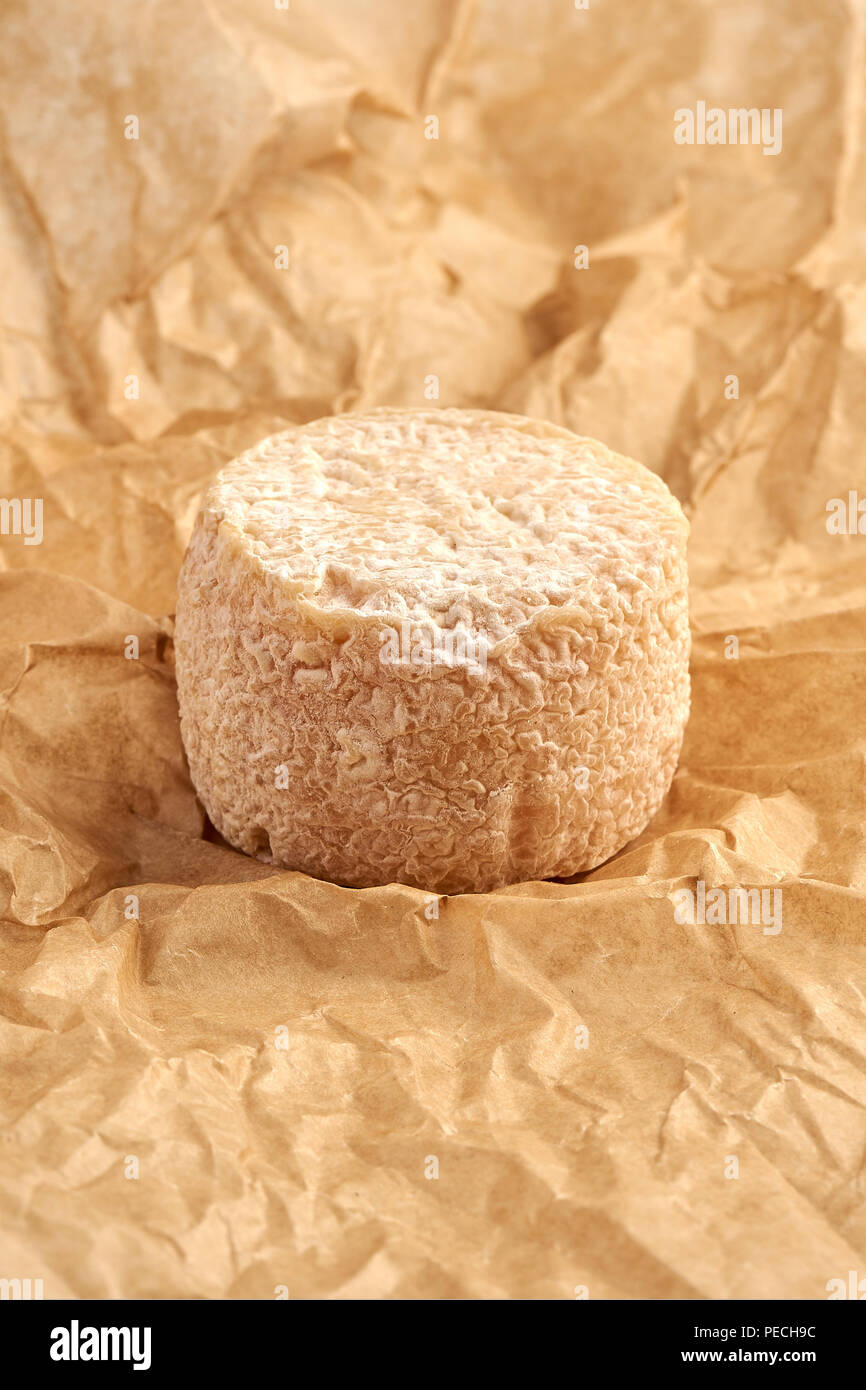 Cheesehead hi-res stock photography and images - Alamy