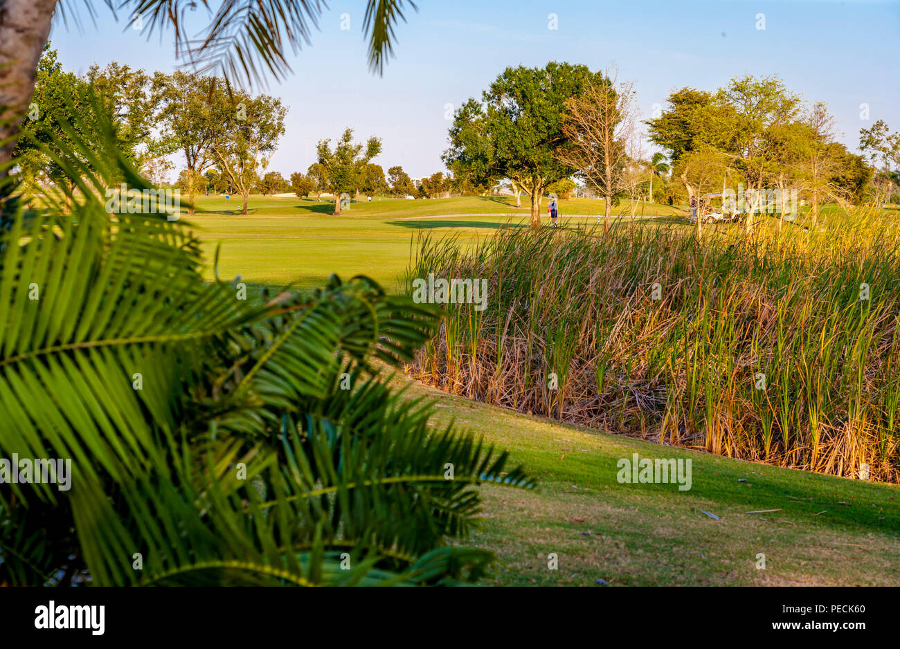 Sawgrass clubhouse hi-res stock photography and images - Alamy