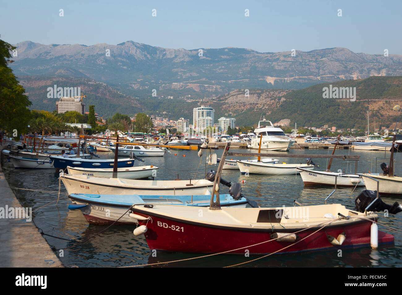 Harbour, Budva, Montenegro, port Stock Photo - Alamy