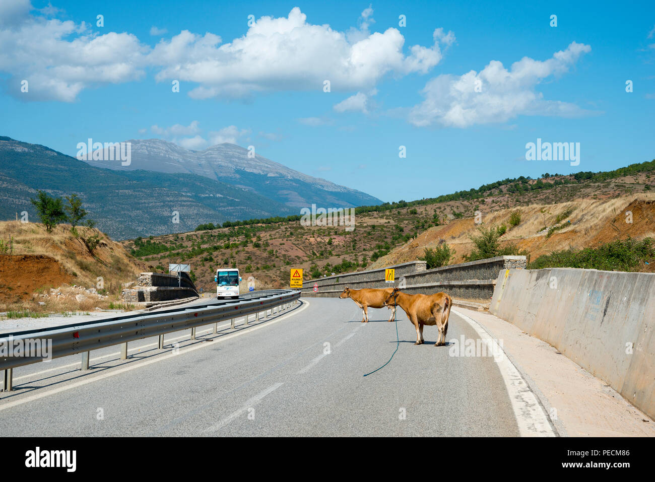 Animal highways hi-res stock photography and images - Alamy