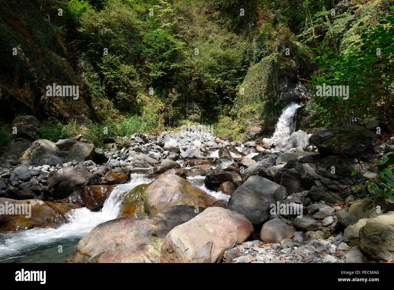 Lagodekhi hi-res stock photography and images - Alamy
