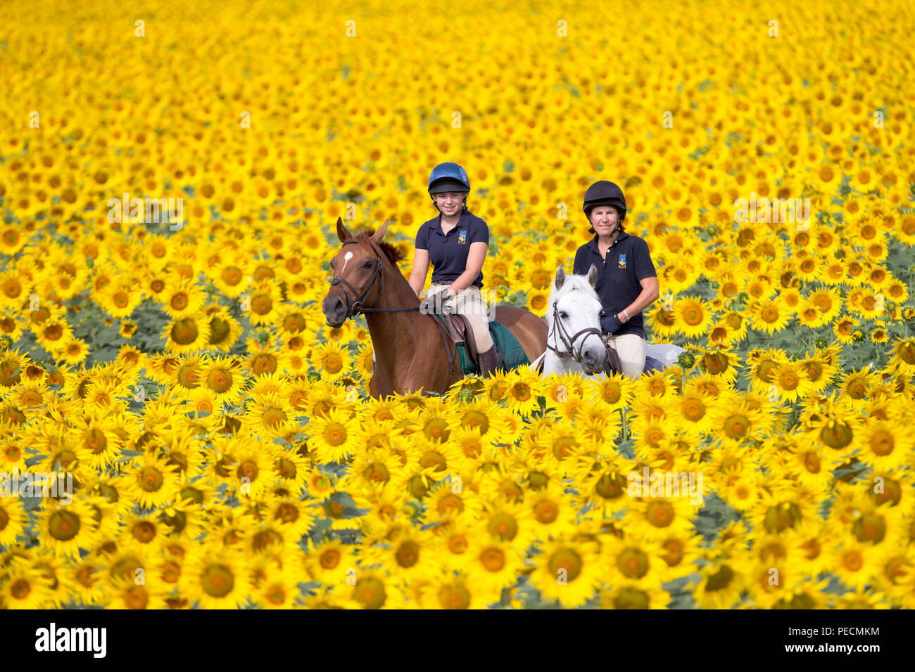 Joanna Golland riding on her horse Flo with her daughter Sophie on her ...