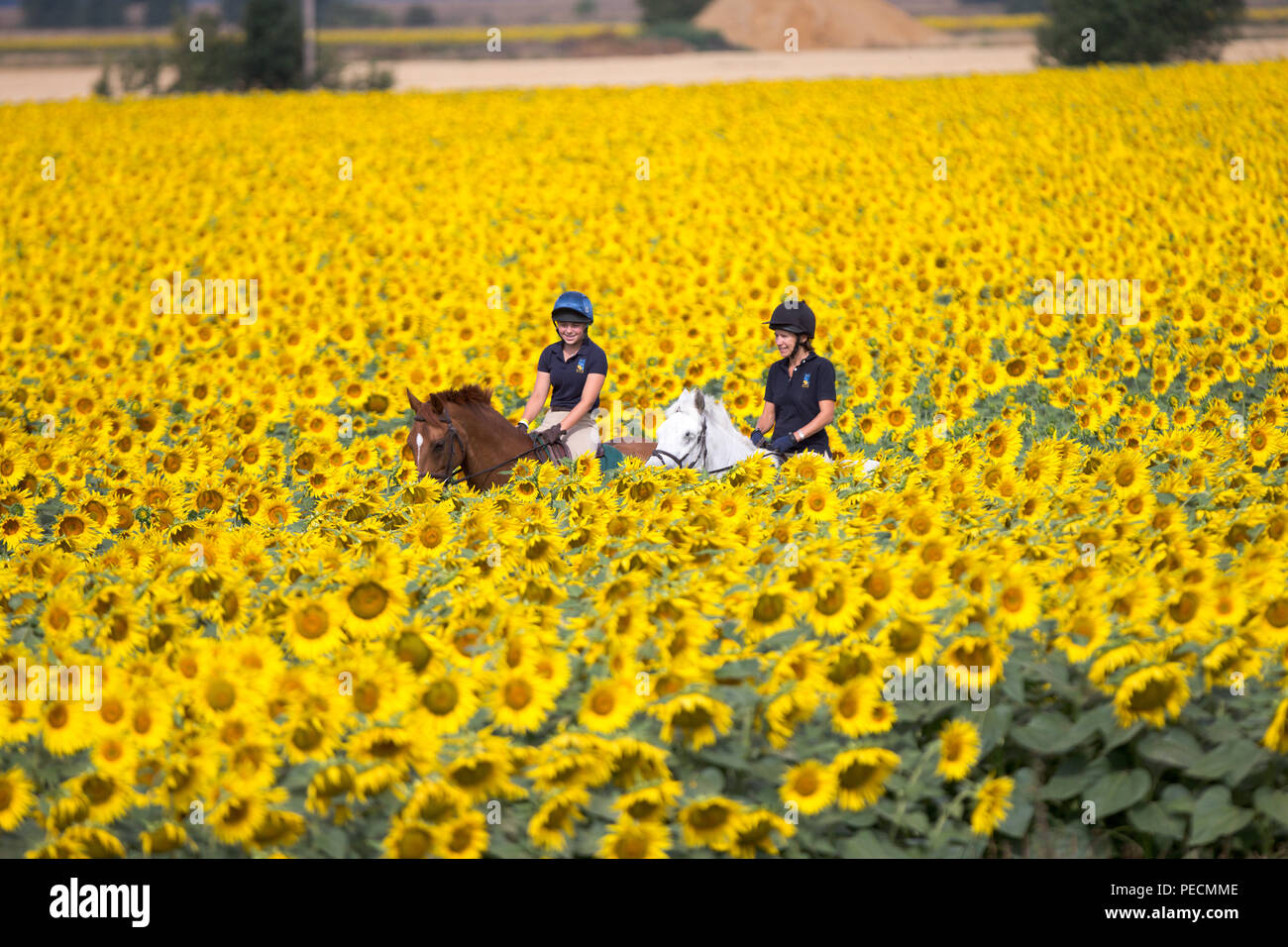 Joanna Golland riding on her horse Flo with her daughter Sophie on her ...