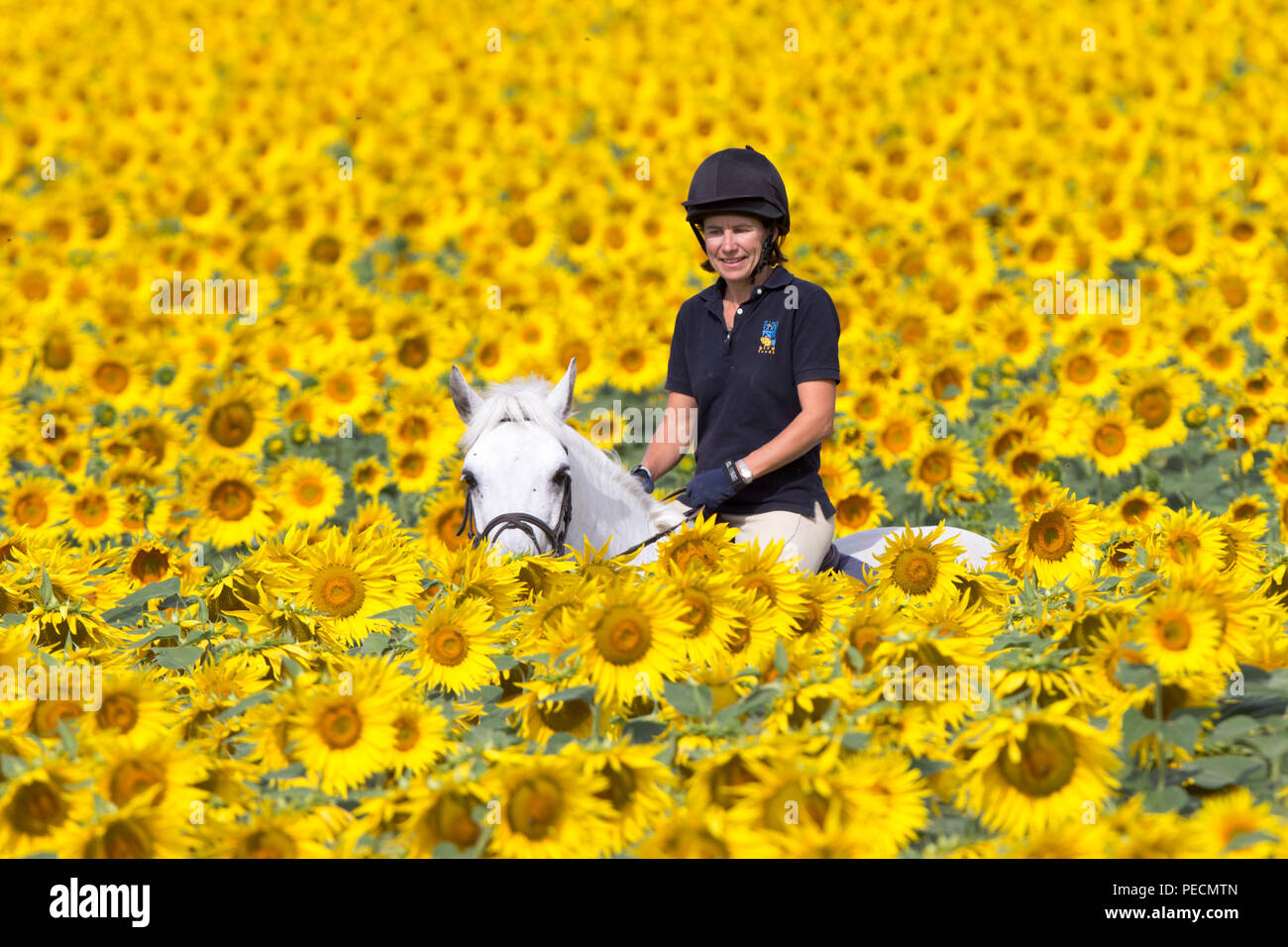 Joanna riding hi-res stock photography and images - Alamy