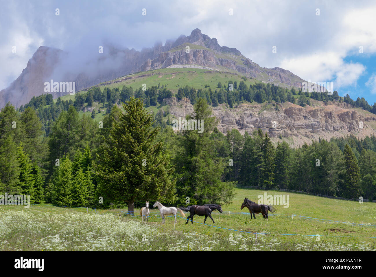 Pass costalunga hi-res stock photography and images - Alamy