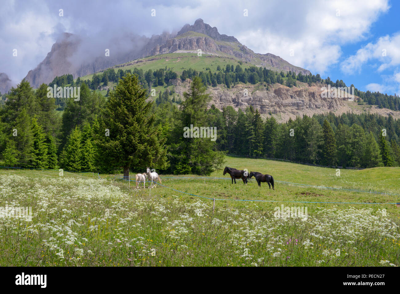 Pass costalunga hi-res stock photography and images - Alamy