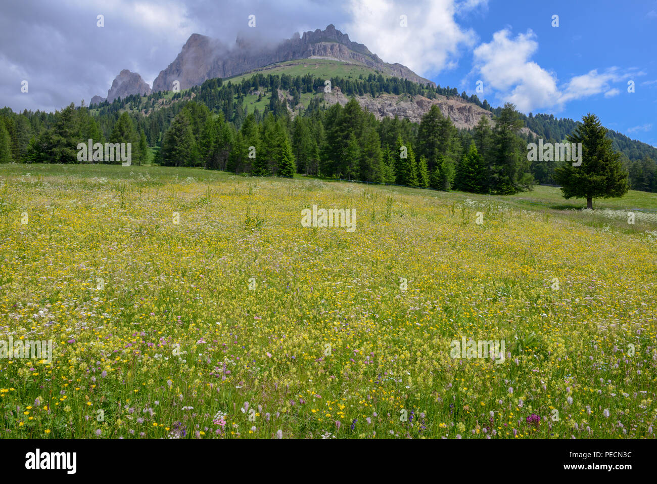 Pass costalunga hi-res stock photography and images - Alamy
