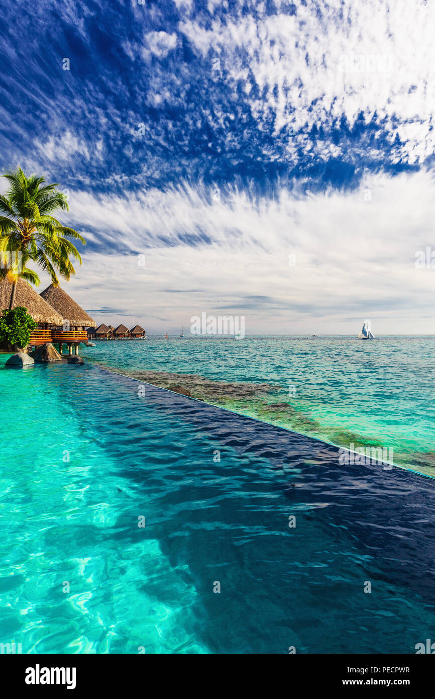 Palm tree hanging over infinity pool and tropical ocean, Tahiti, French ...