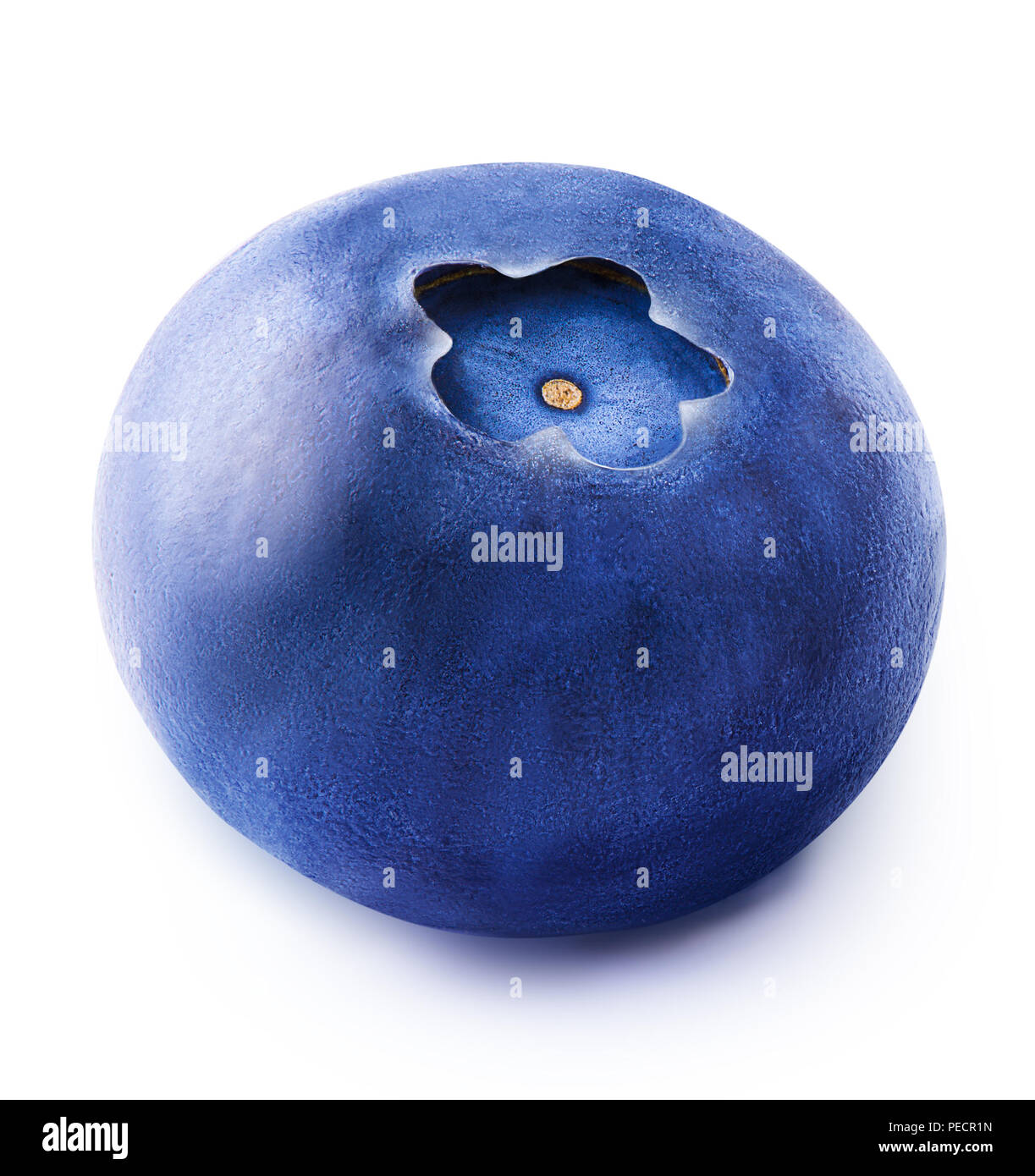 Single blueberry berry isolated on white background. With clipping path ...