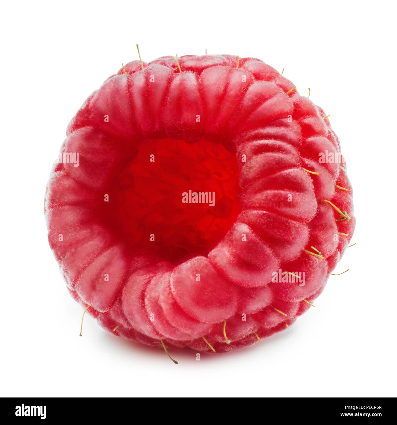 Isolated berry. One fresh raspberry fruit on white background with ...