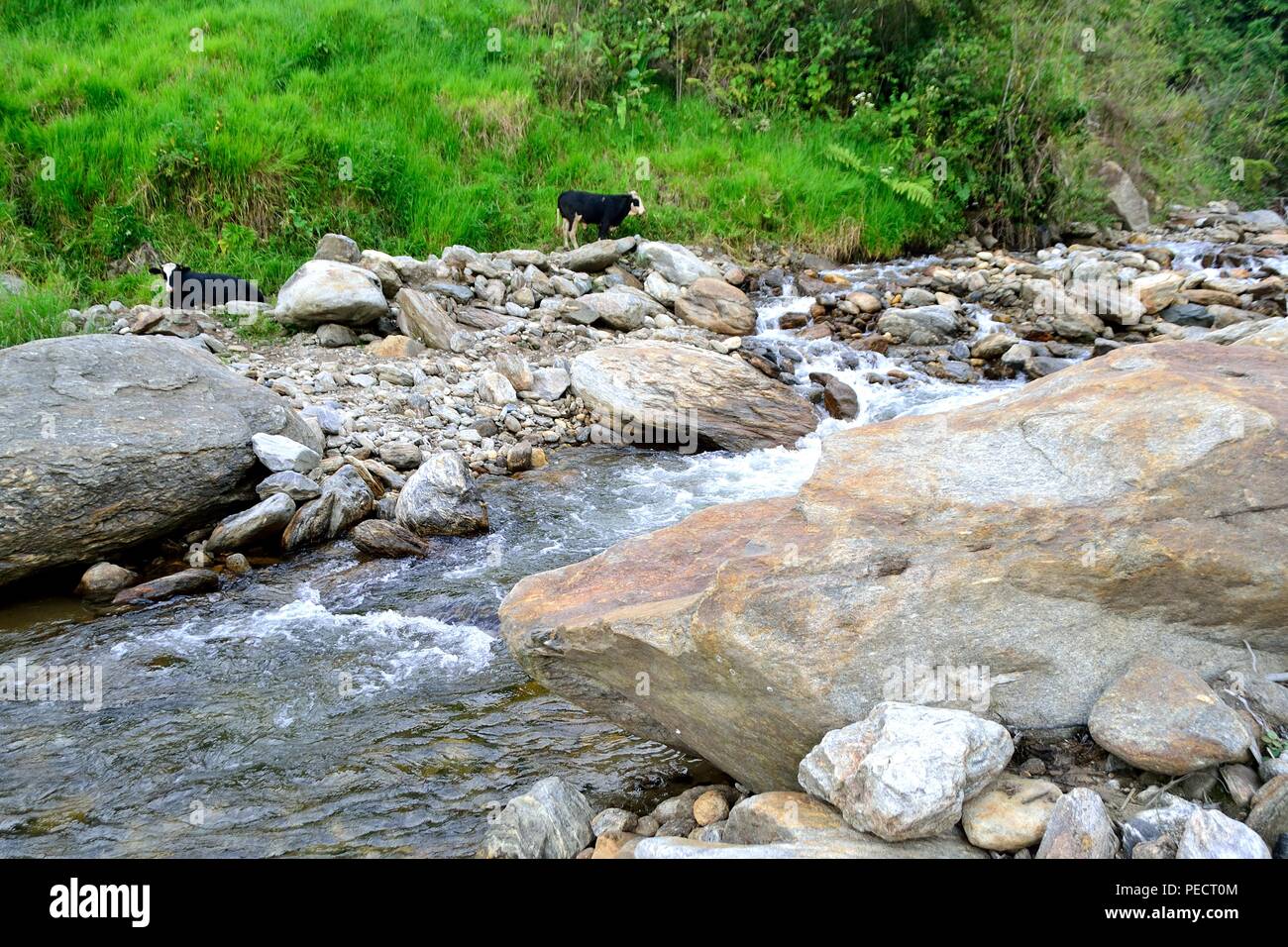 LA ZUNGA - Ecuador border -San Ignacio- Department of Cajamarca .PERU ...