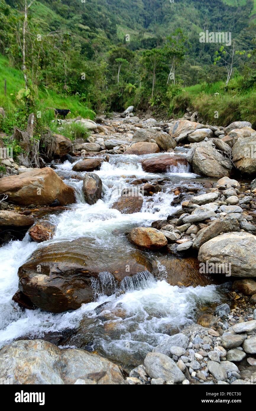 LA ZUNGA - Ecuador border -San Ignacio- Department of Cajamarca .PERU ...