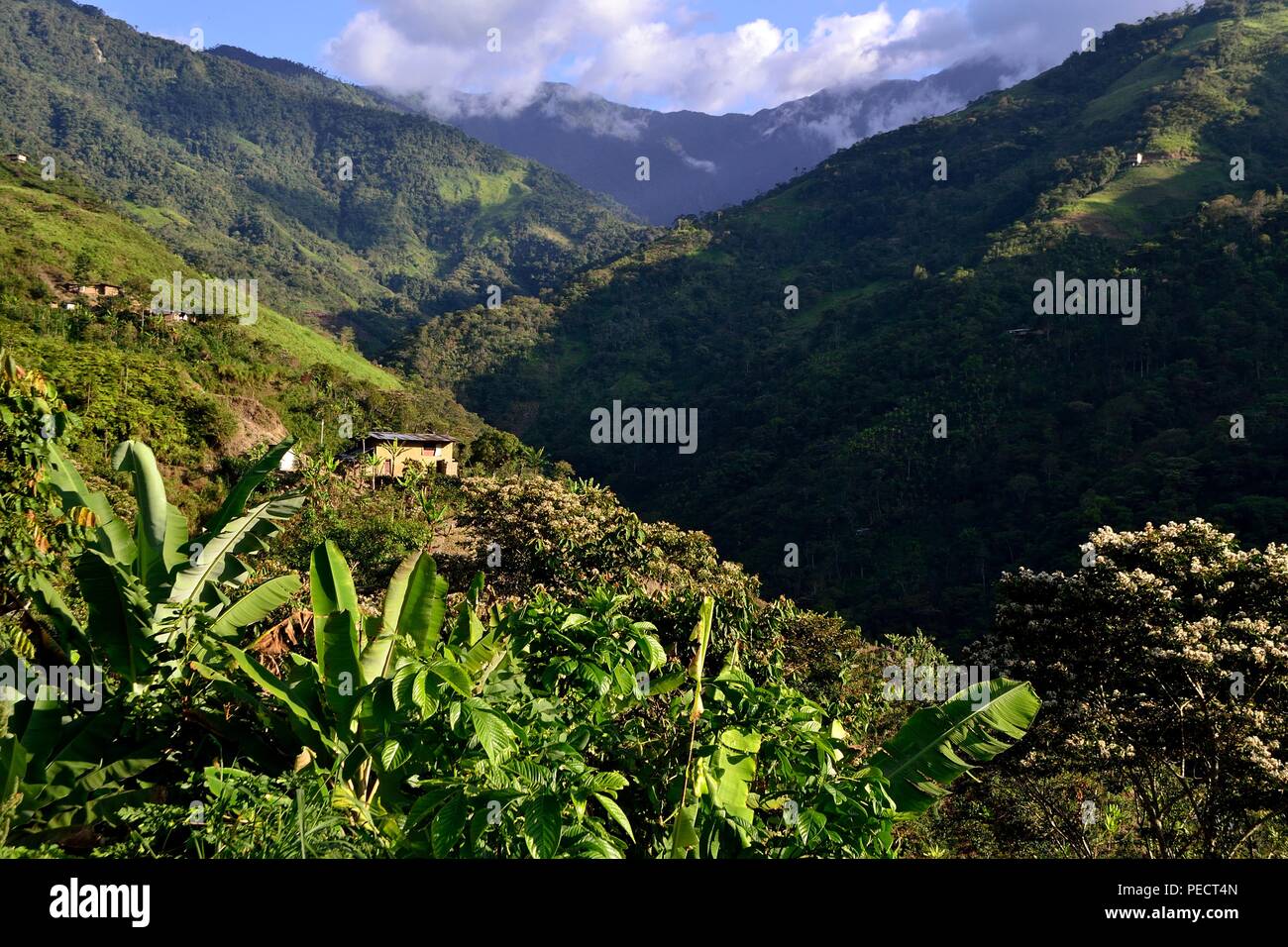 La zunga hi-res stock photography and images - Alamy