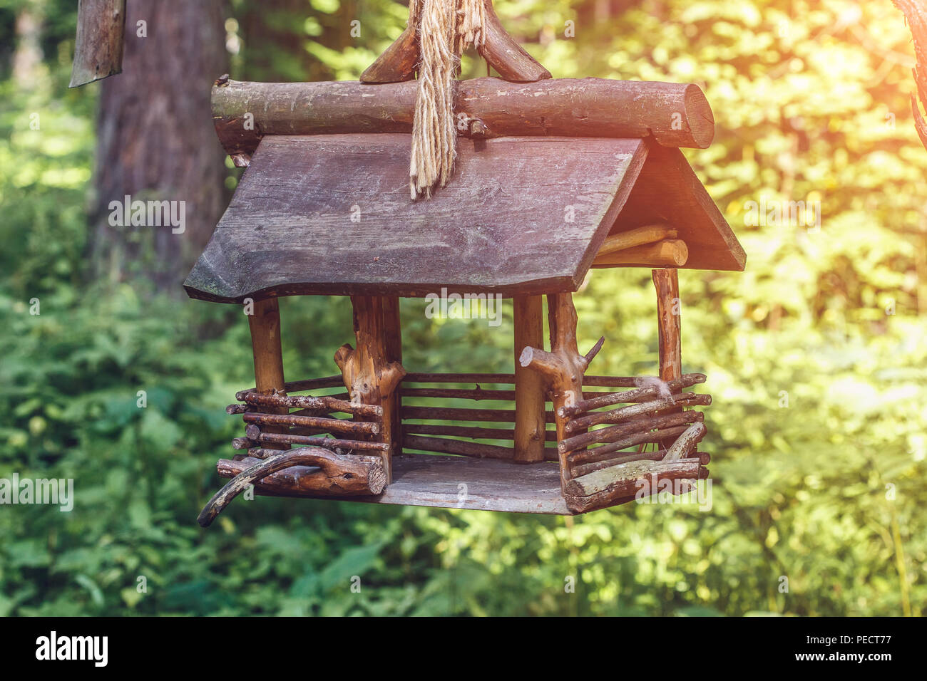 Wooden bird houses, nesting box on tree in forest, closeup Stock Photo ...
