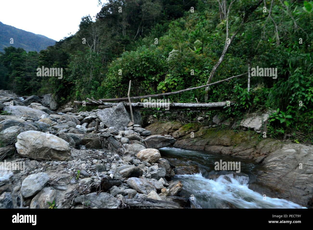Bridge in LA ZUNGA - Ecuador border -San Ignacio- Department of ...