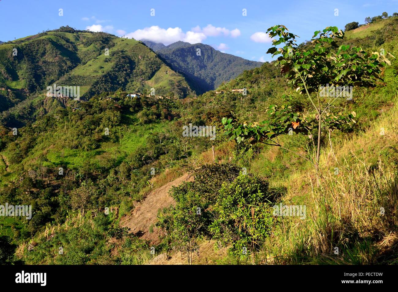 LA ZUNGA - Ecuador border -San Ignacio- Department of Cajamarca .PERU ...