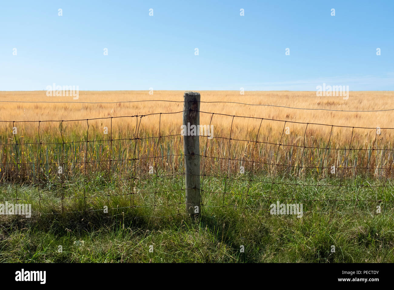 fence around a corn field Stock Photo - Alamy