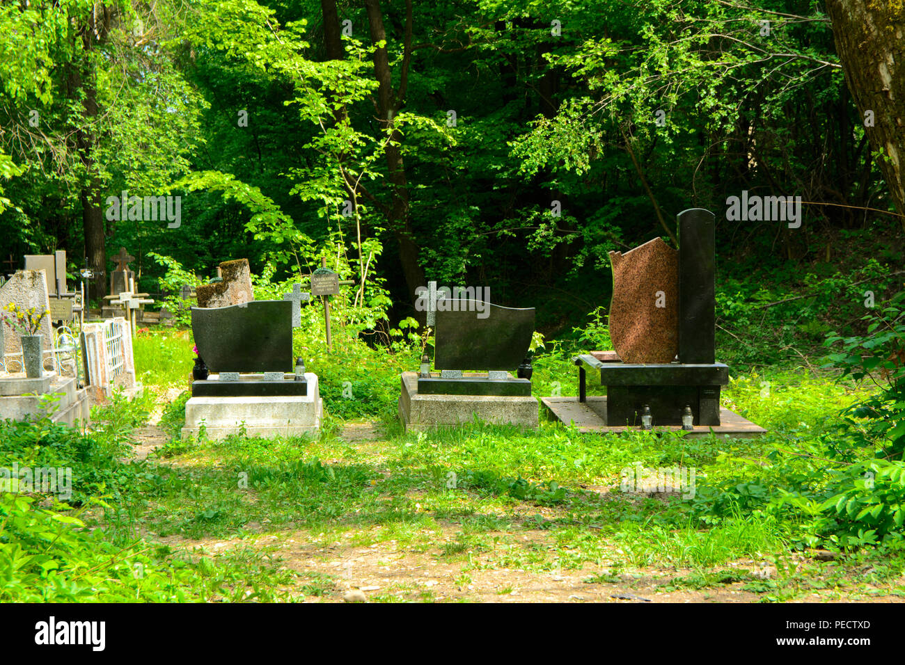 An old abandoned cemetery, crosses and graves overgrown with tall grass ...