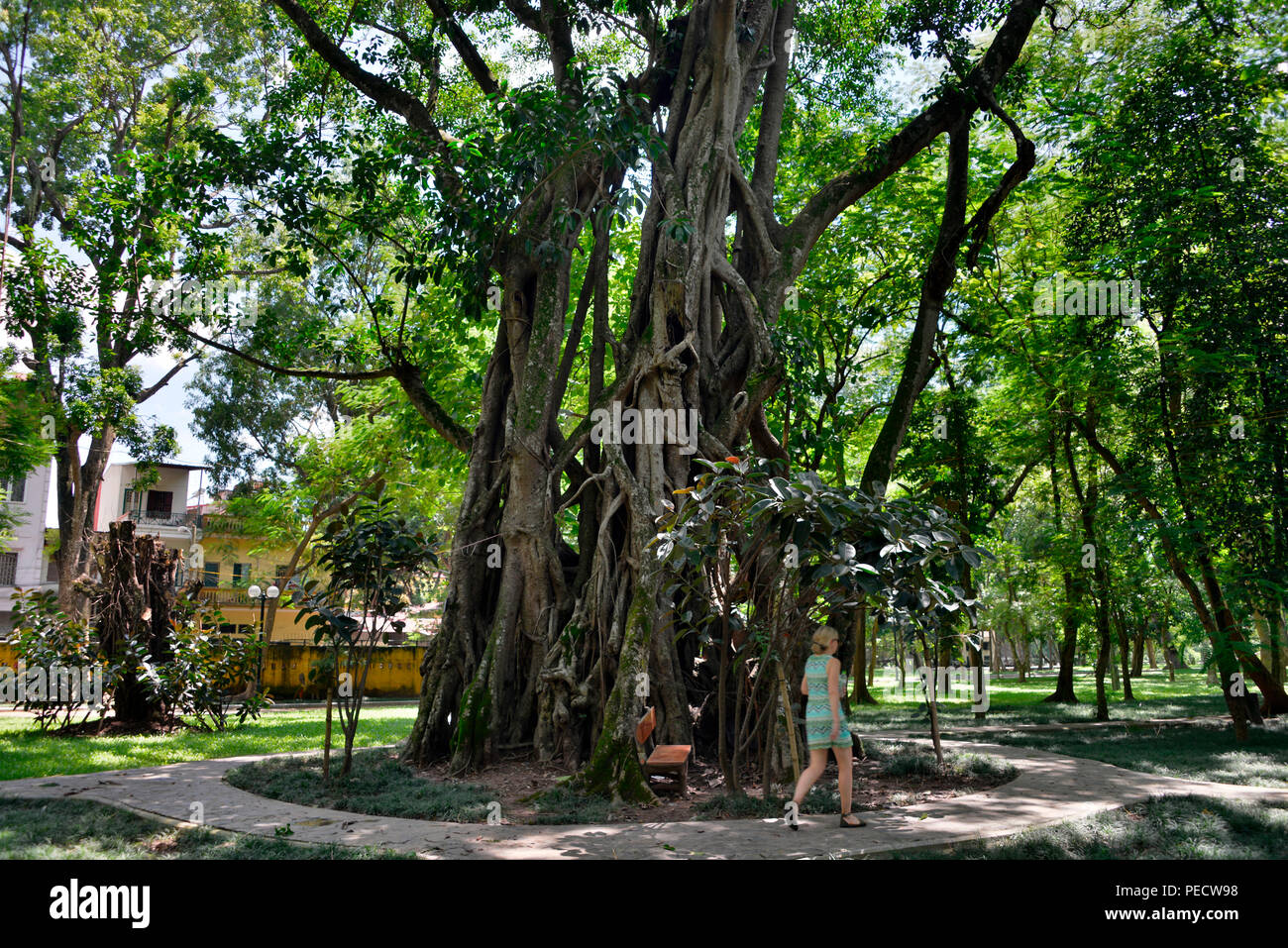 Hanoi parks hi-res stock photography and images - Alamy