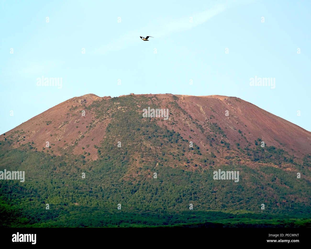 Mount bird hi-res stock photography and images - Alamy