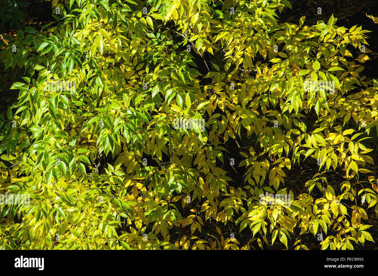 Seasonality of nature hi-res stock photography and images - Alamy