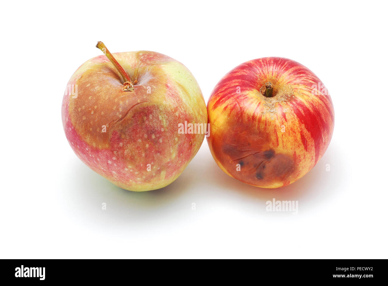 two rotten apples isolated on white Stock Photo - Alamy