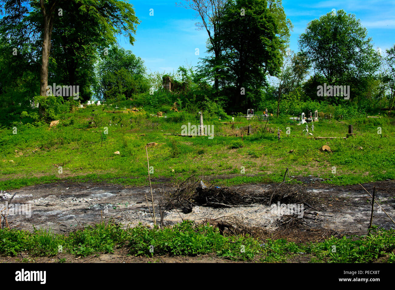 An old abandoned cemetery, crosses and graves overgrown with tall grass ...