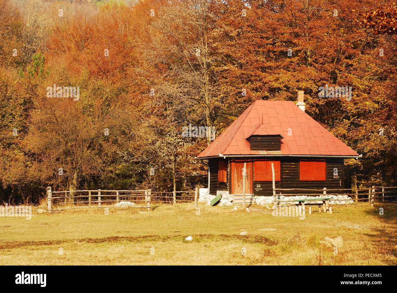 mountain hut in the forest Stock Photo - Alamy
