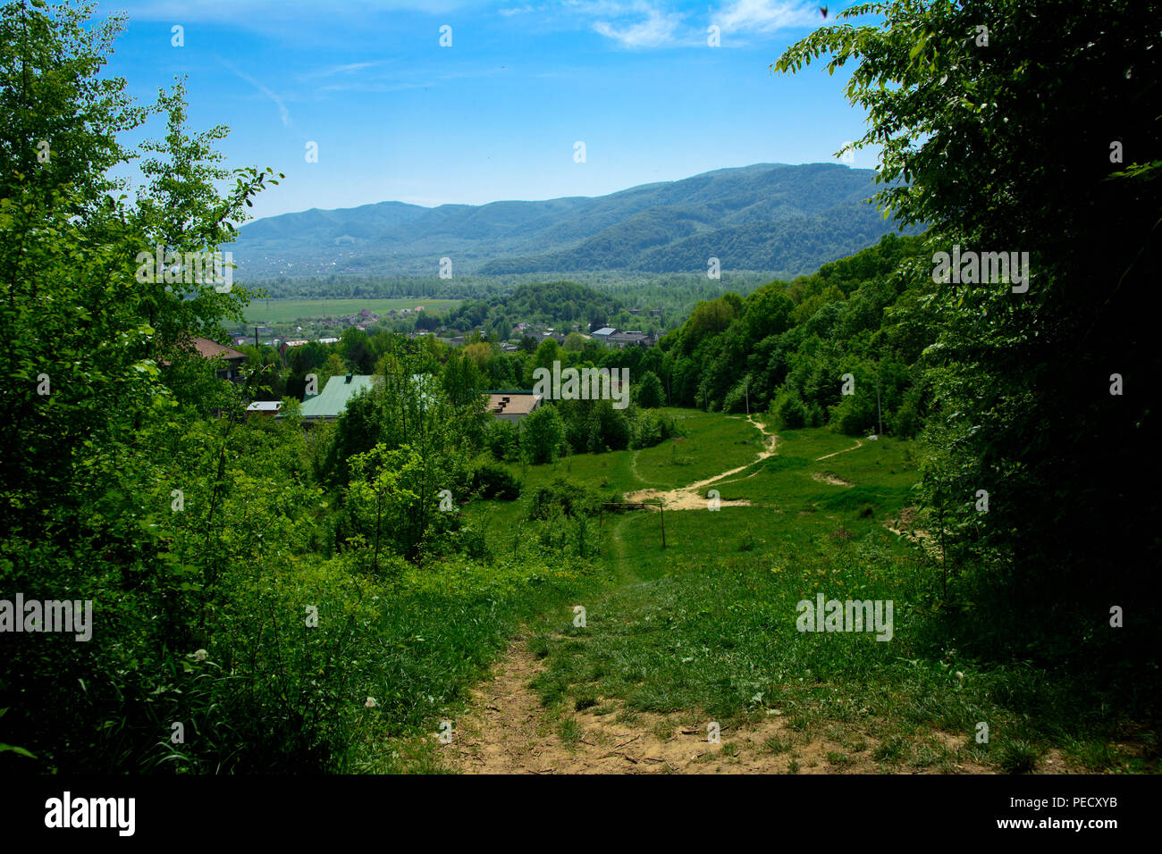 Colorful exalted view from a bird's eye view to houses in residential ...