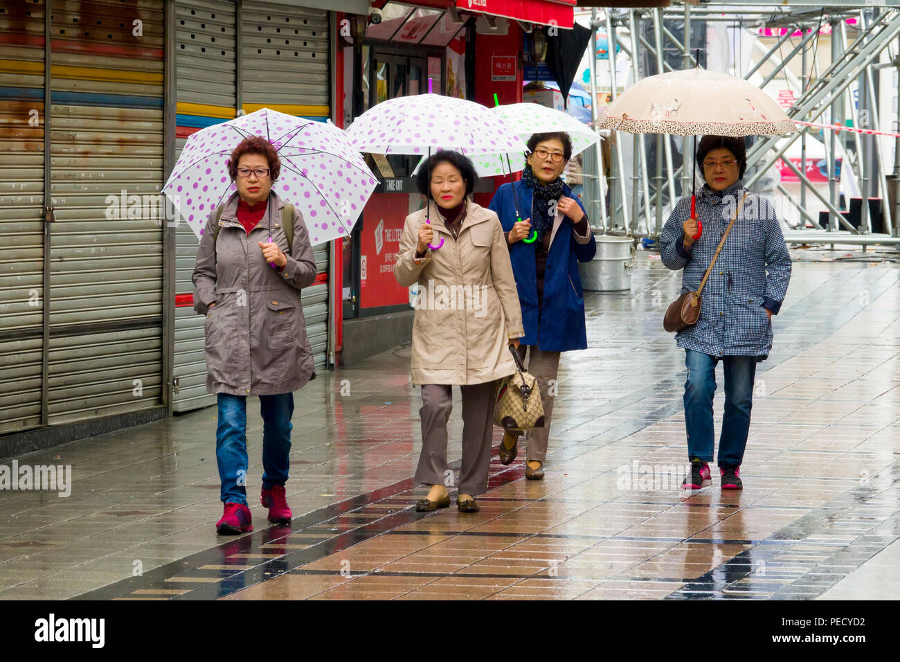South Koreans with Umbrellas on Rainy Day Busan Pusan South Korea Asia ...