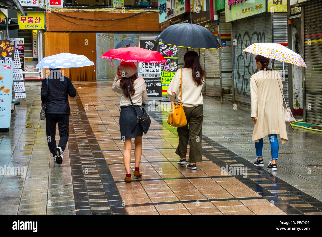 South Koreans with Umbrellas on Rainy Day Busan Pusan South Korea Asia ...