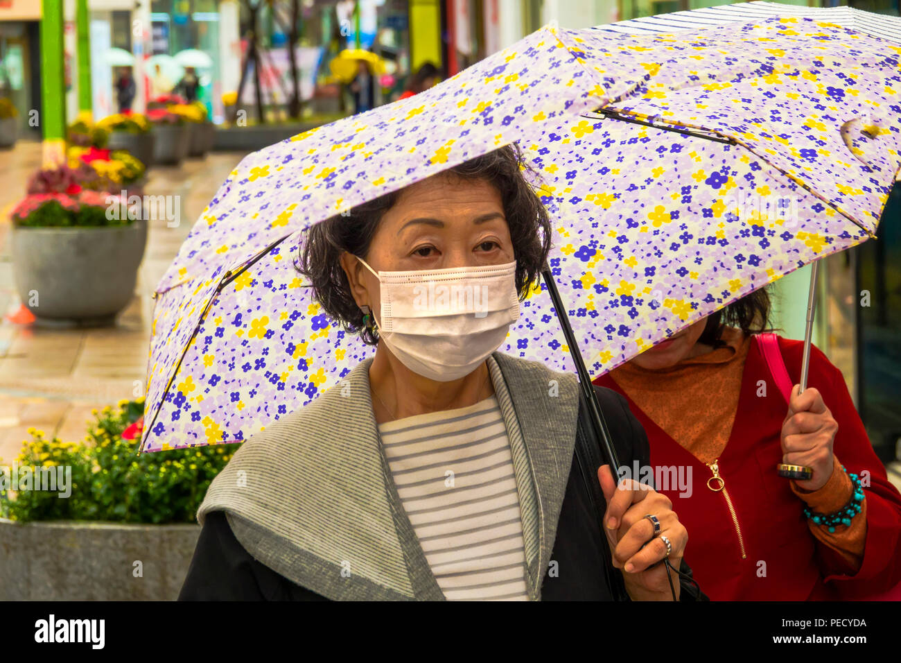 Day koreans korea korean hi-res stock photography and images - Alamy