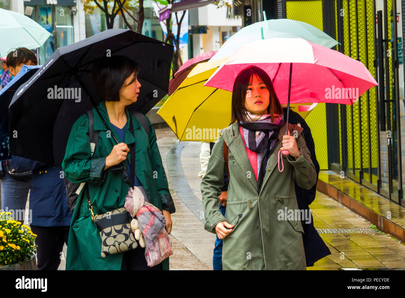 South Koreans with Umbrellas on Rainy Day Busan Pusan South Korea Asia ...