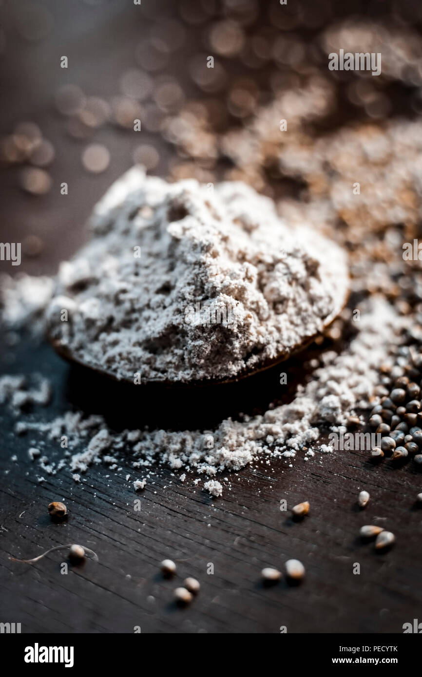 Close up of flour of pearl millet or bajra ka atta with raw pearl ...