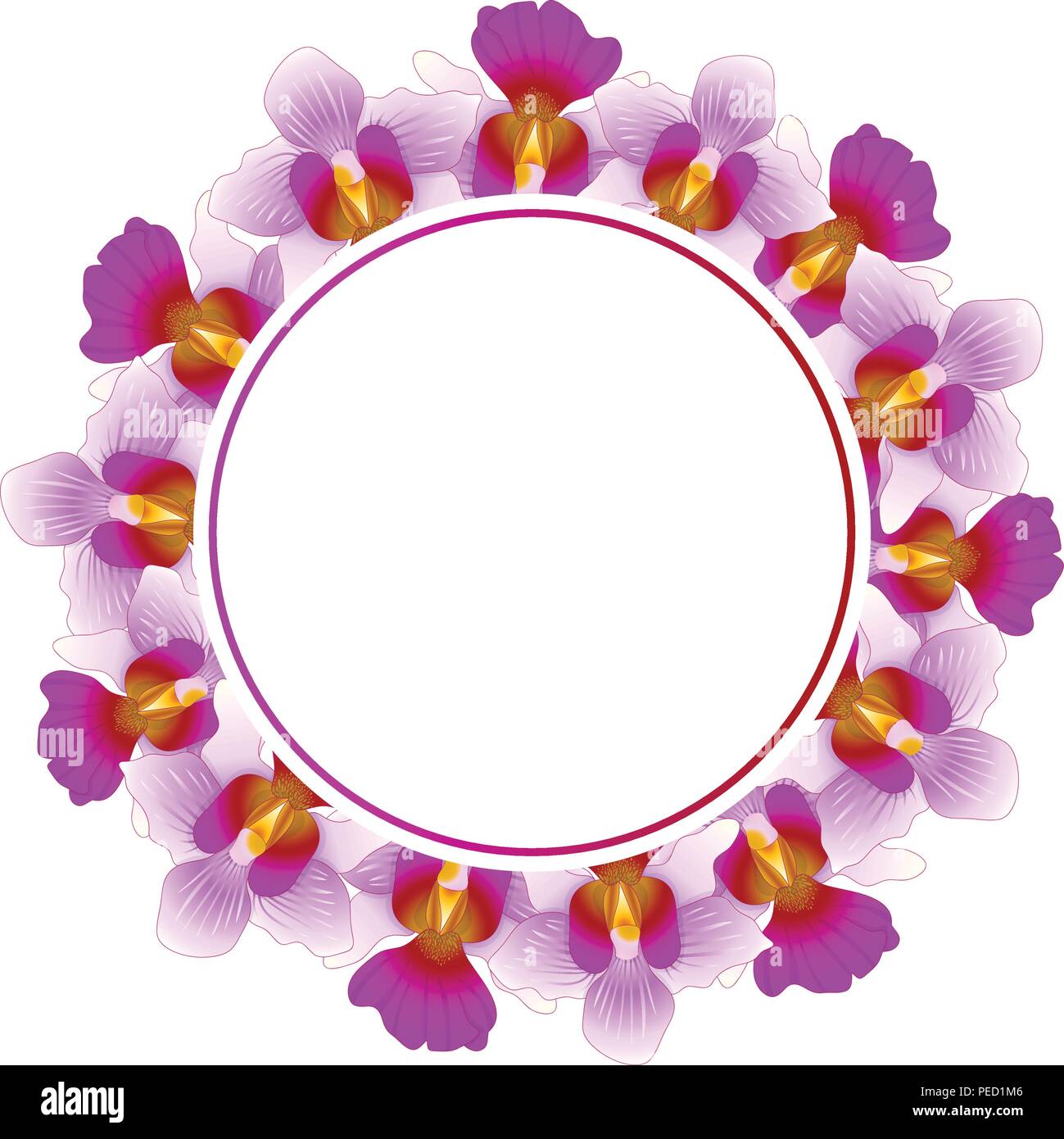 Vanda miss joaquim orchid Stock Vector Images - Alamy