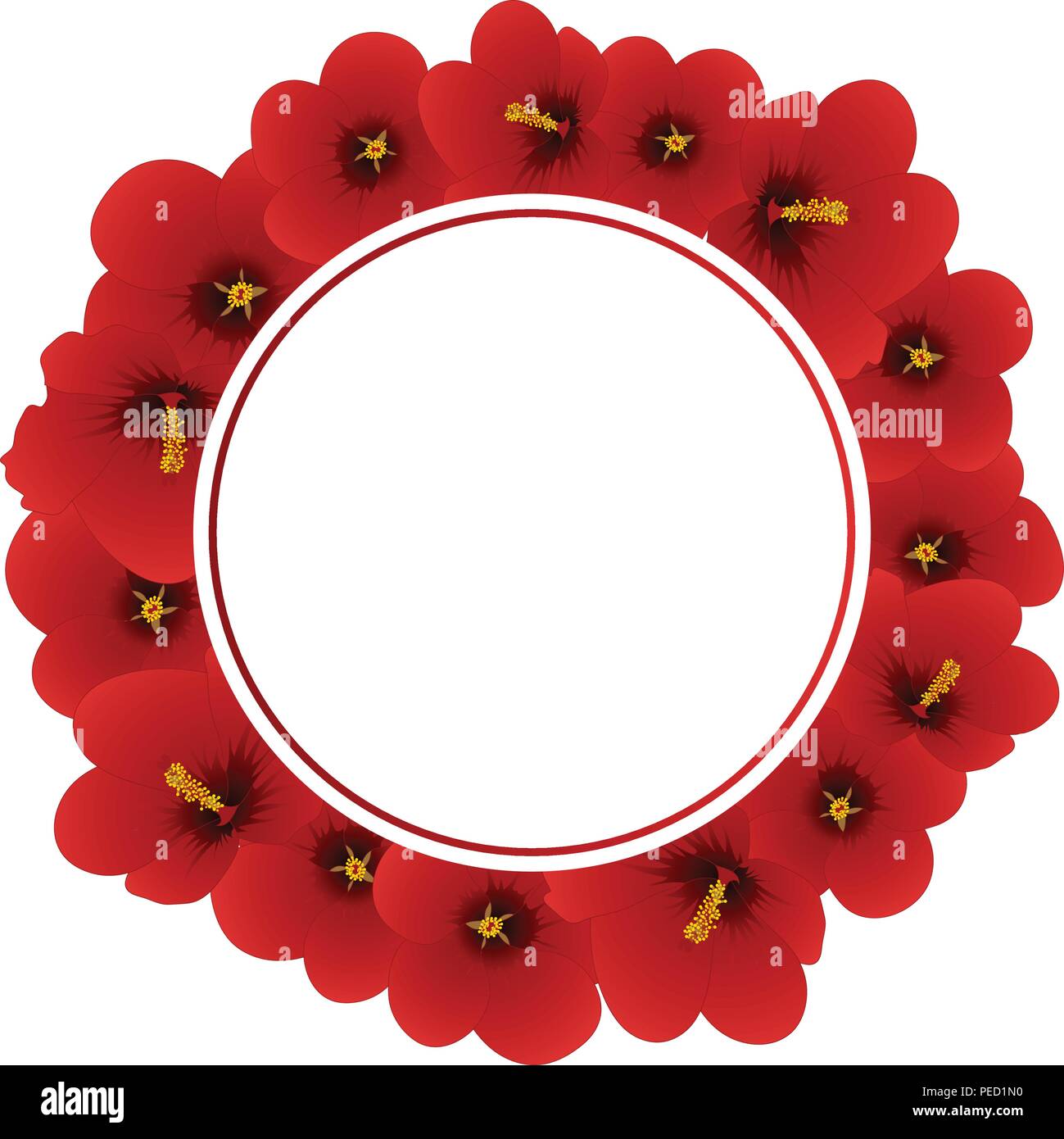 Red Hibiscus syriacus - Rose of Sharon Banner Wreath. Vector ...
