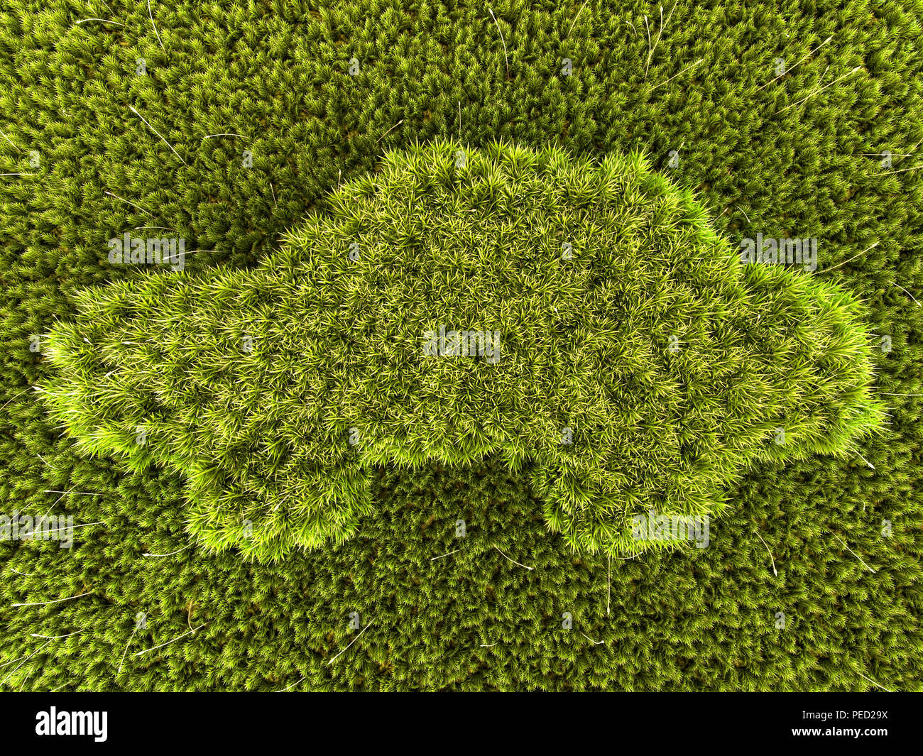 Car made of grass concept hi-res stock photography and images - Alamy