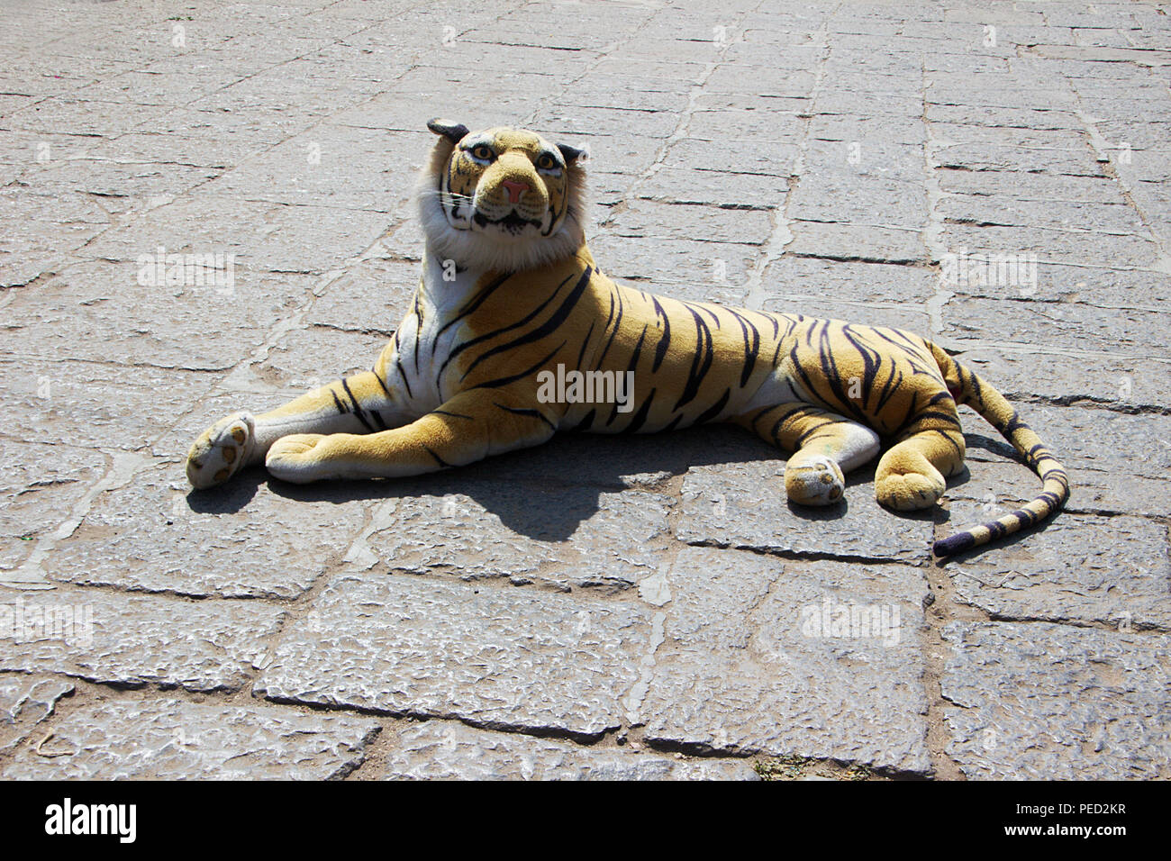 Toy tiger reclining on stone pavement at Siddhivinayak Temple in ...