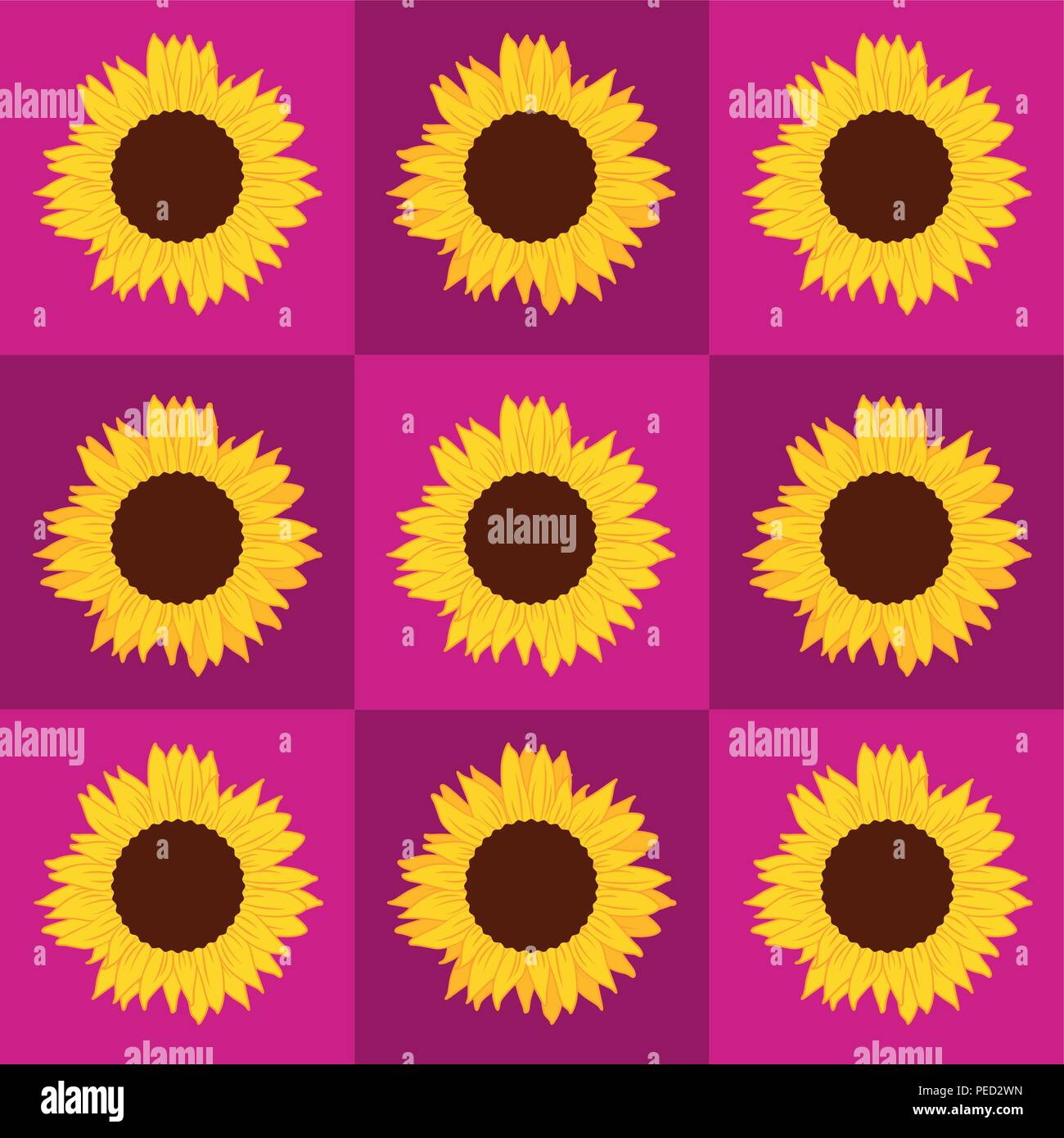 Sunflower pink background hi-res stock photography and images - Alamy