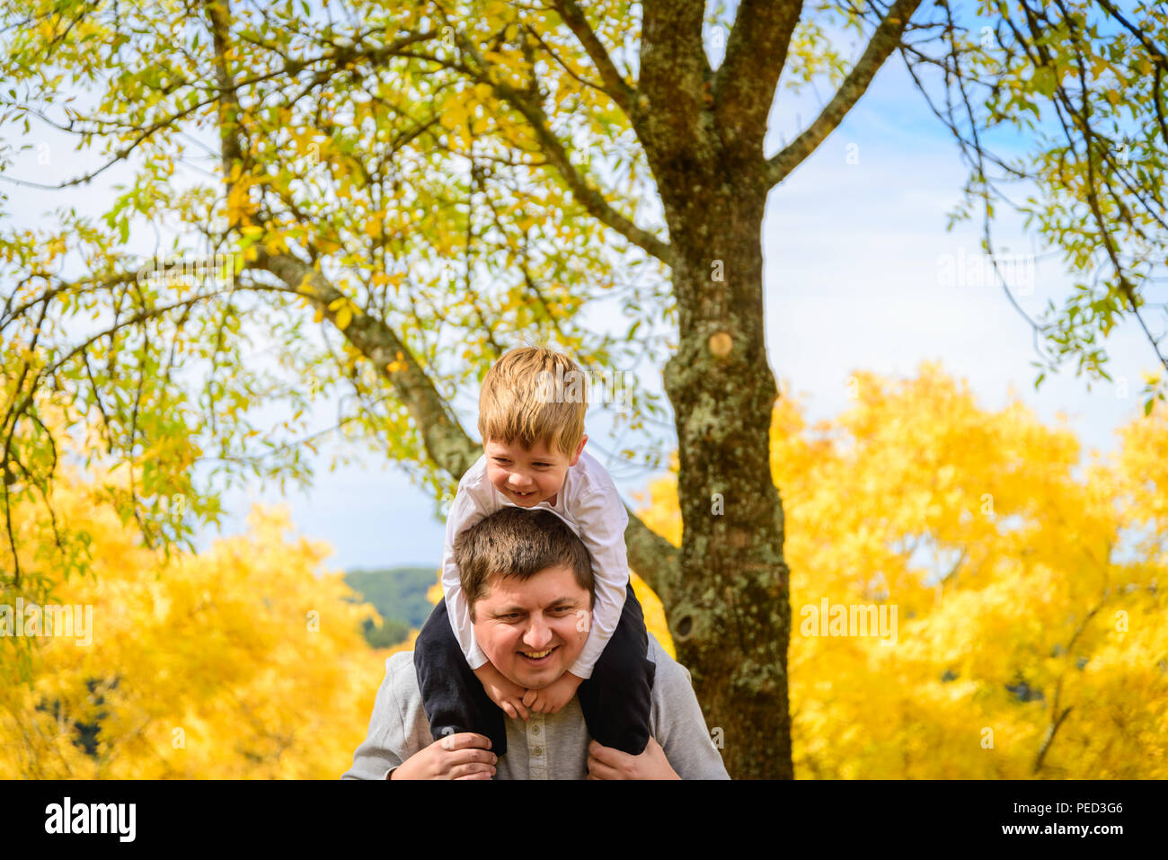 Father giving his son piggyback ride in autumn park, Adelaide Hills ...