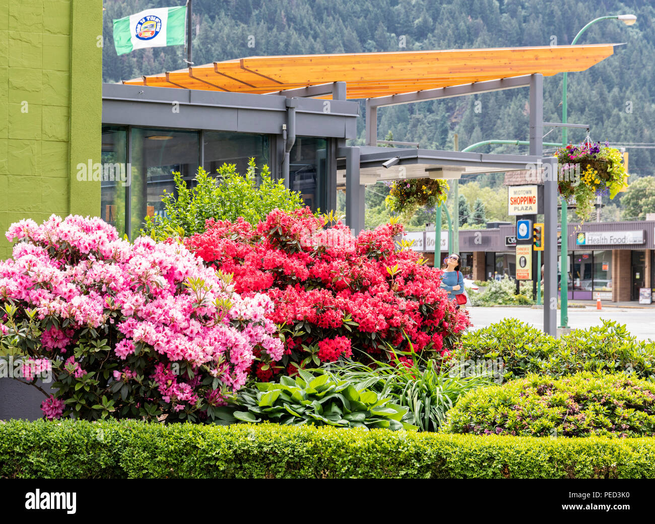 Floral display in the town of Hope, British Columbia, Canada Stock ...