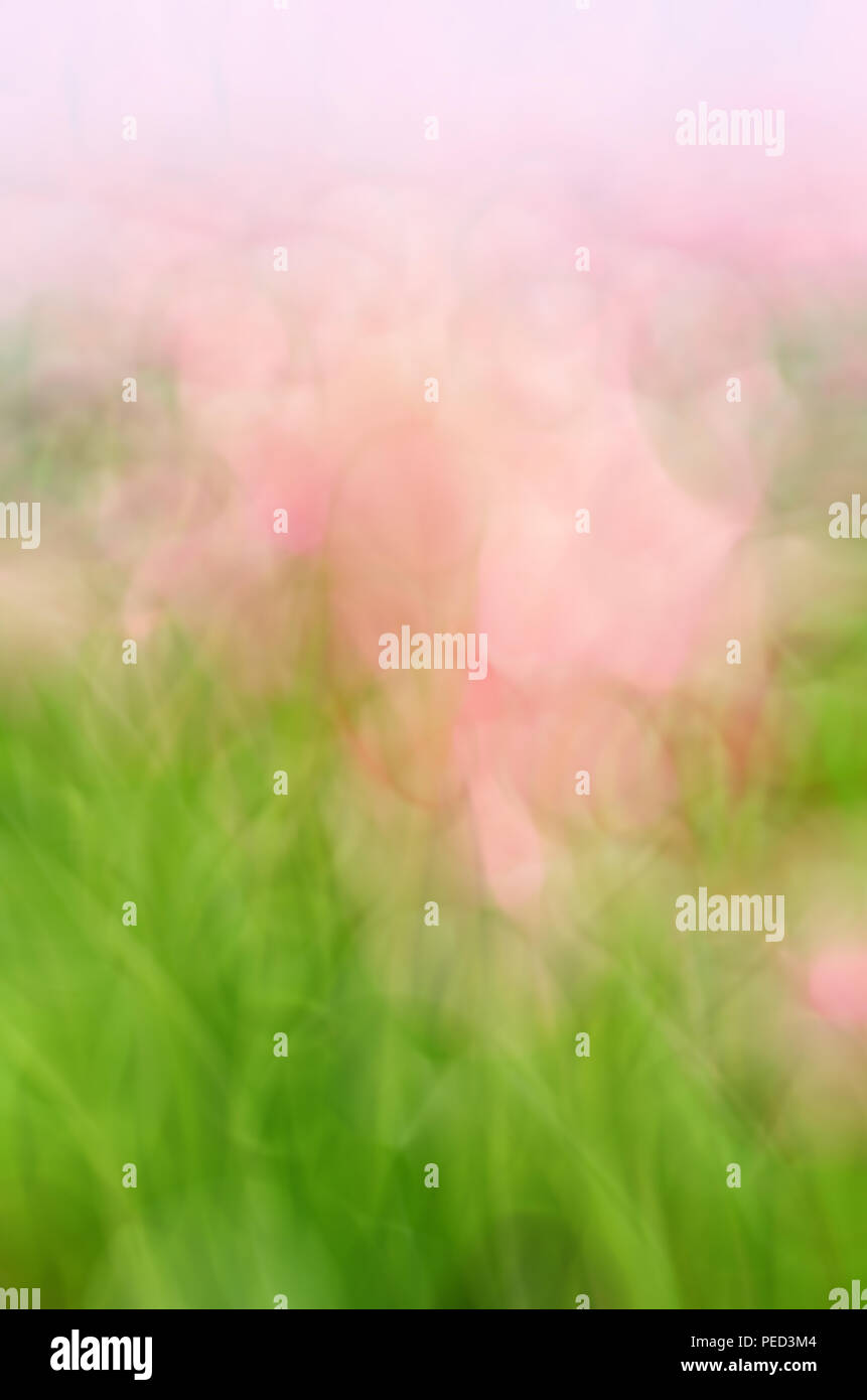 Blurred Floral field background. Blurred Nature Background Stock Photo ...